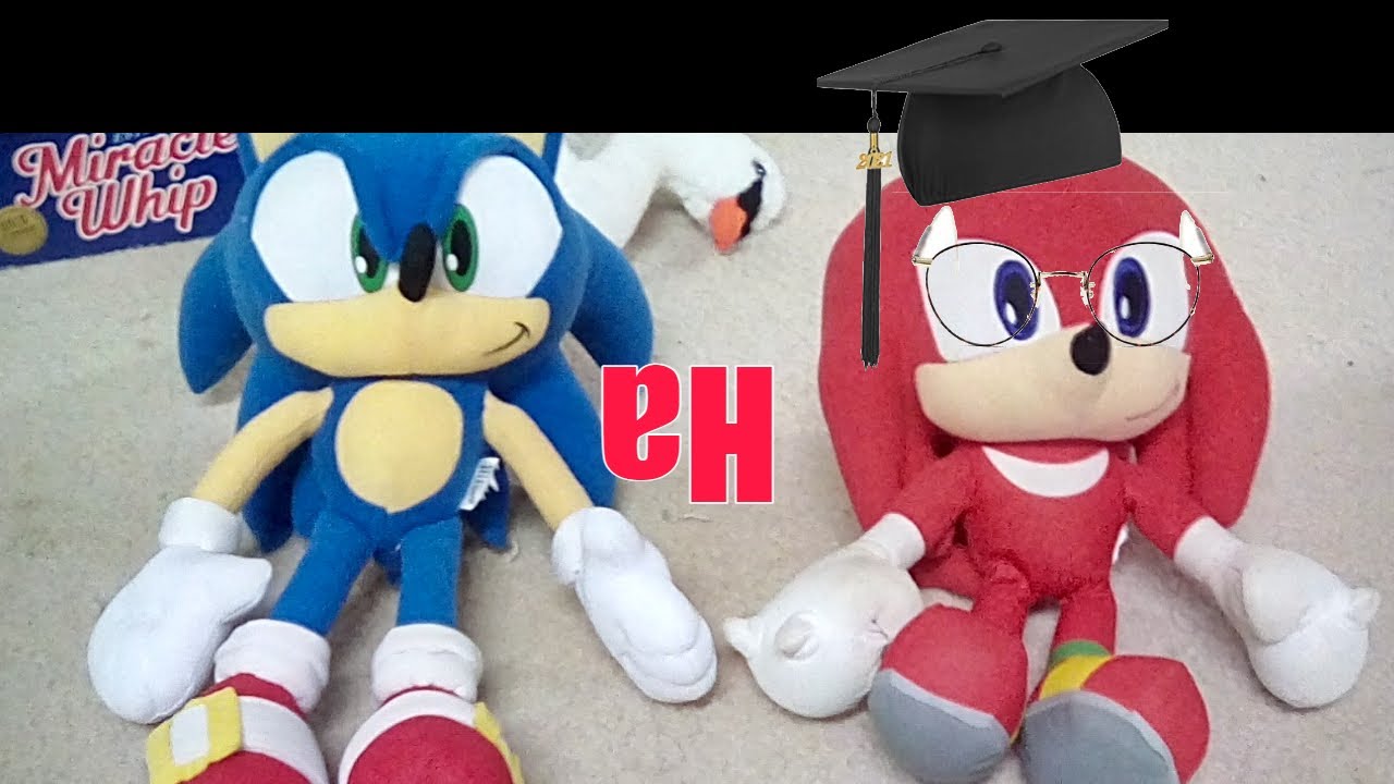 Knuckles Becomes Smart!? - YouTube