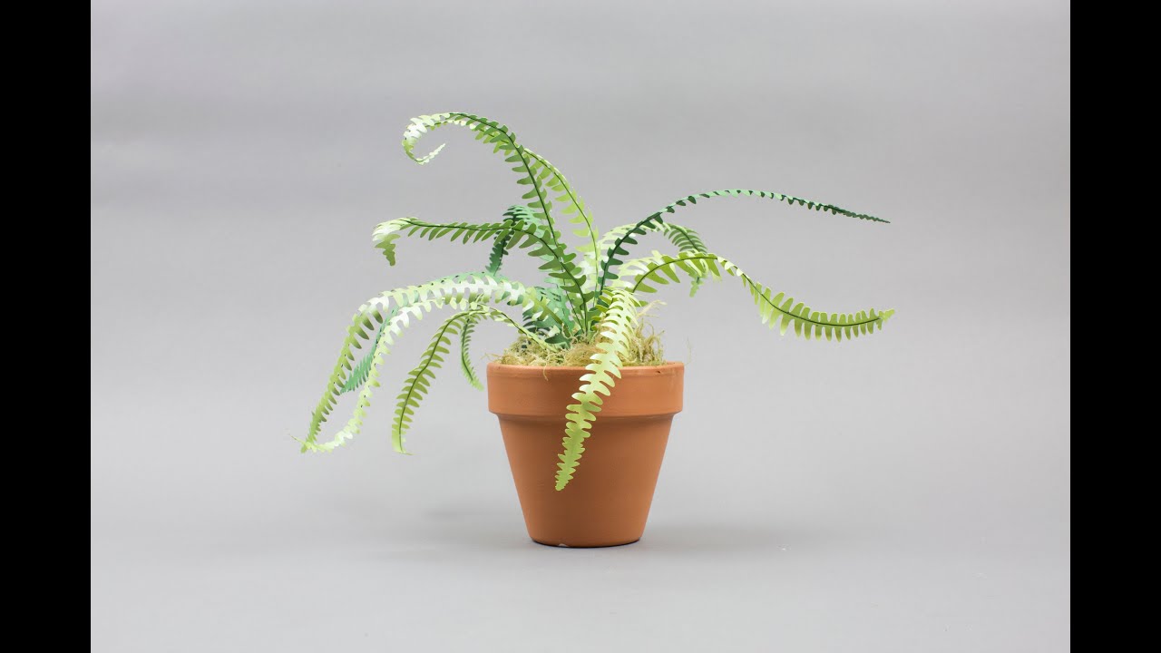 DIY Paper Fern - YouTube