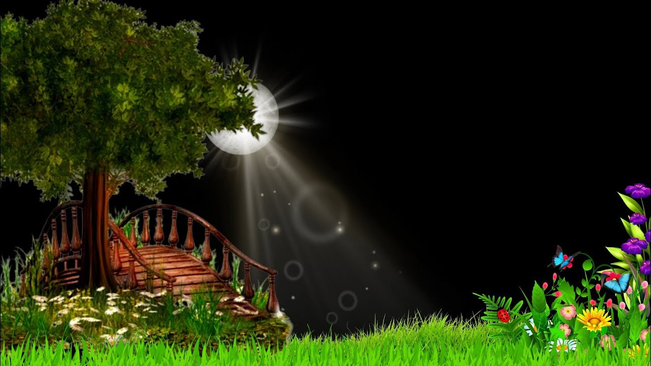 New Background Video Effects hd | Template Video Background | Nature ...