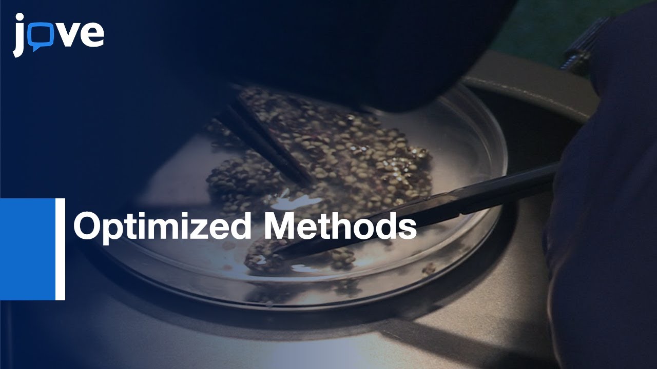 Xenopus Oocytes:Microinjection/Removal-Follicular Cell Layer/Fast ...