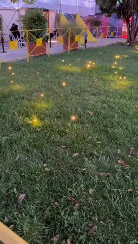 The Magic Field #shorts - YouTube