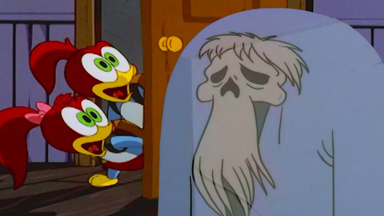 Splinter and Knothead Hunt Ghosts! | Woody Woodpecker - YouTube