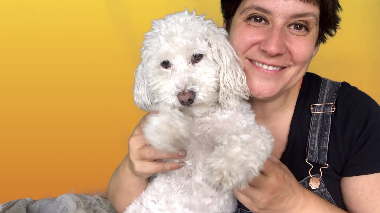 Help Dory Find and Sign Colors! - YouTube