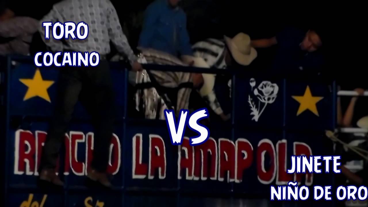 Rancho la amapola torazo el cocaino - YouTube