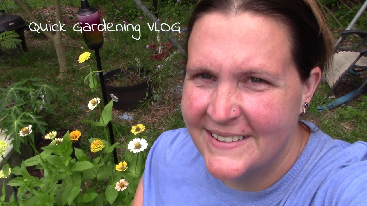 Quick Gardening VLOG | sow seeds | FAILS | seedling care | working ...