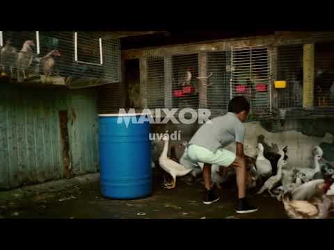 Despasto official video