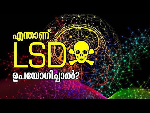 എന്താണ് LSD ഉപയോഗിച്ചാൽ? | ARROW NEWS