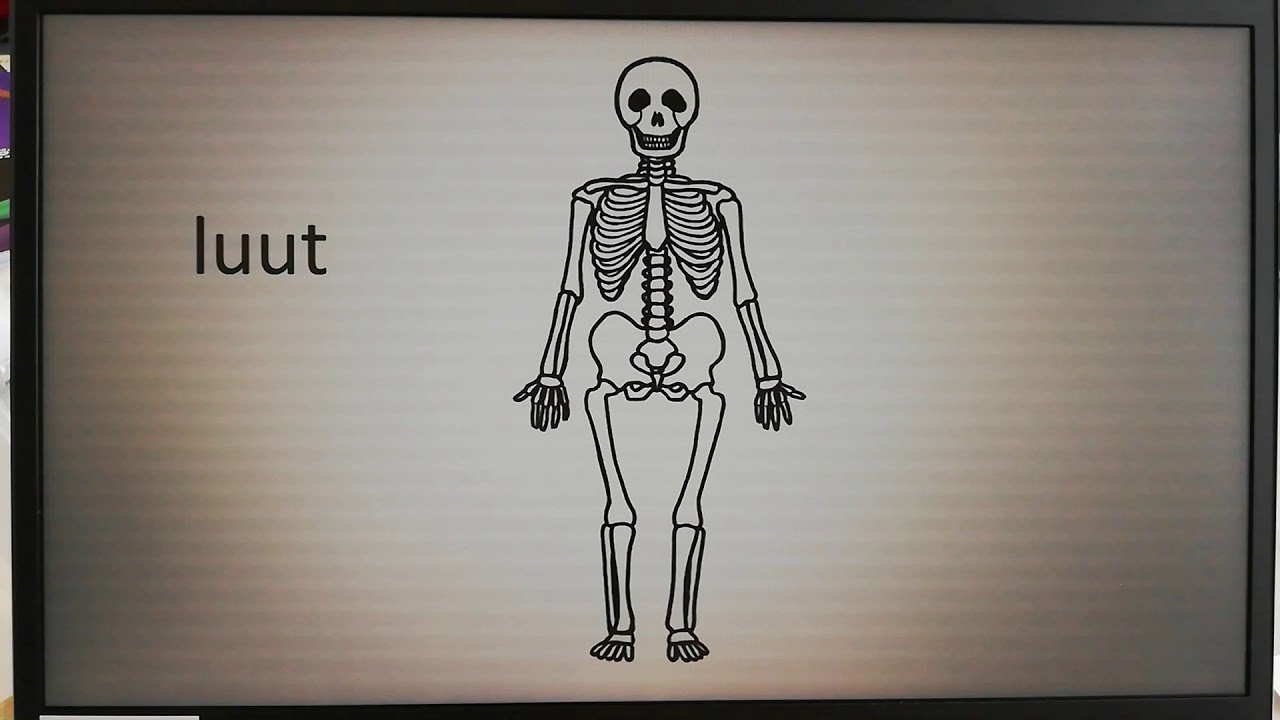 Kehon osat - YouTube