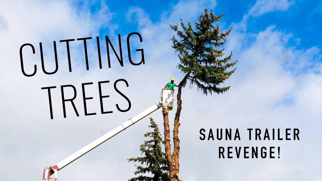 Medford Oregon Tree Removal by Tree MD Tree Care - YouTube