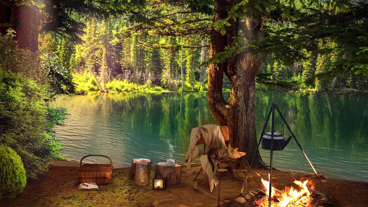 Forest Ambience with Nature Sounds and Relaxing Campfire to Relax - YouTube