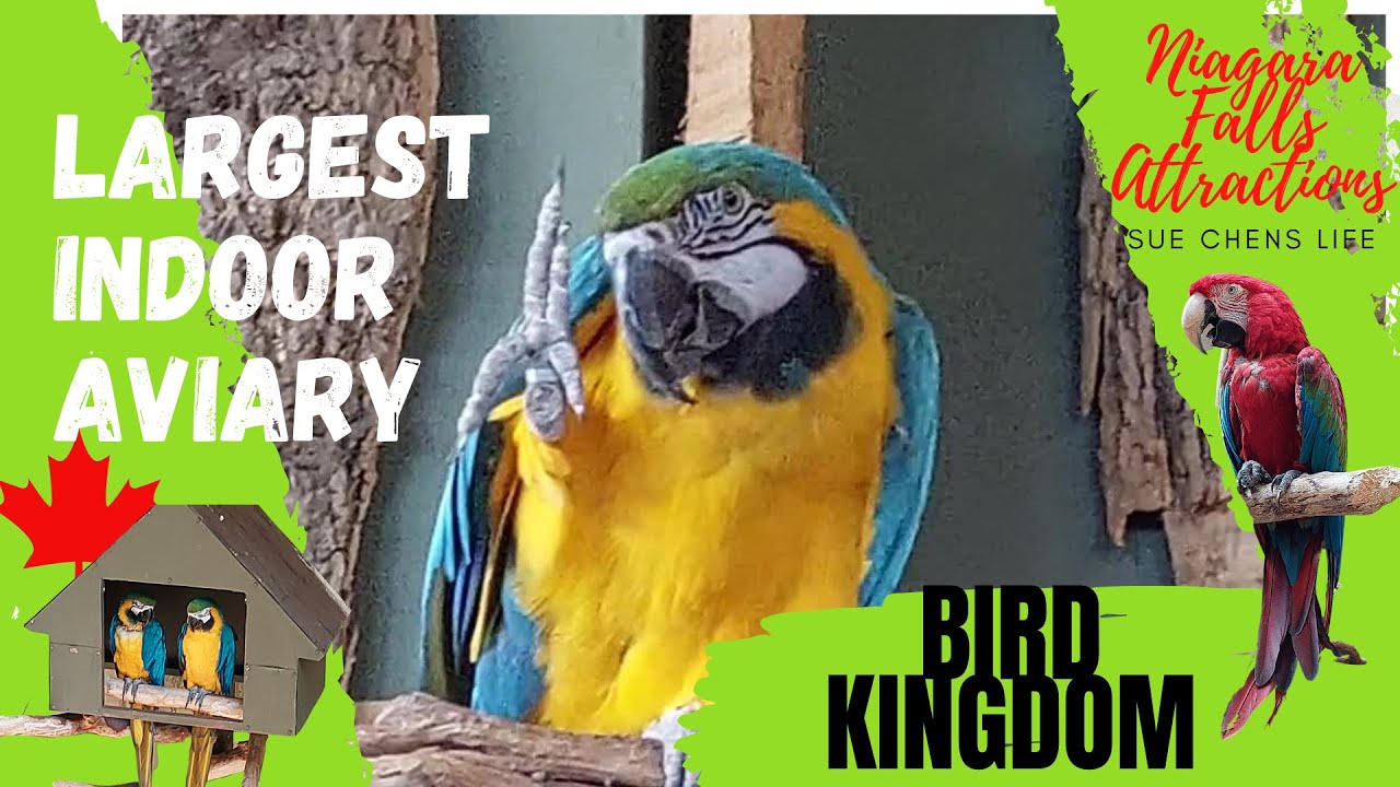 The Worlds Largest Free-Flying Indoor Aviary # Bird Kingdom# Niagara ...