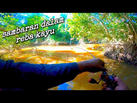 BUJUK@channa lucius saiz idaman para caster_Mengcakok #zakipngchannel #aldebaranbfs #mengcakok