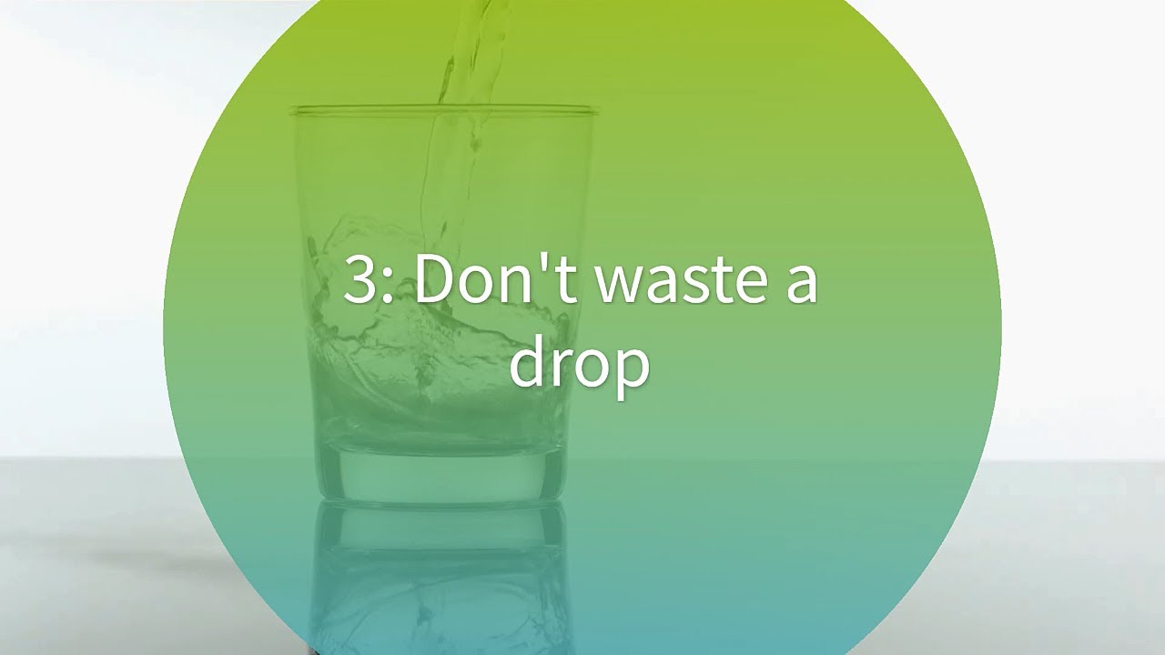 Don't waste a drop: how to promote environmental awareness at work ...