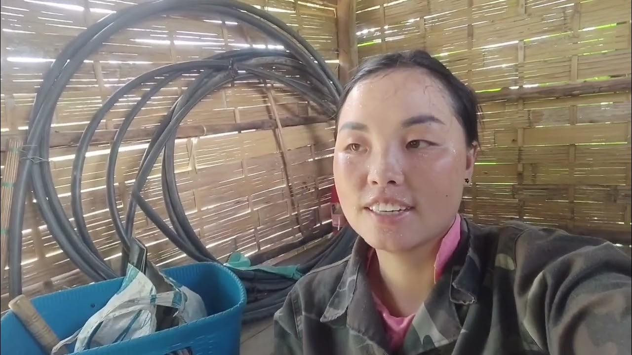 Hnub no tuaj luaj teb ntoo lwm.tsib tag lawm os. 15/9/2024 - YouTube