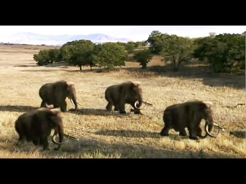 What Killed The Mega Beasts Prehistoric Ice Age Predators Full ...