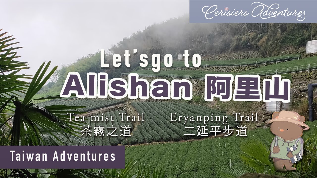 Let's go to Alishan (Tea Mist Trail & Eryanping Trail) - YouTube