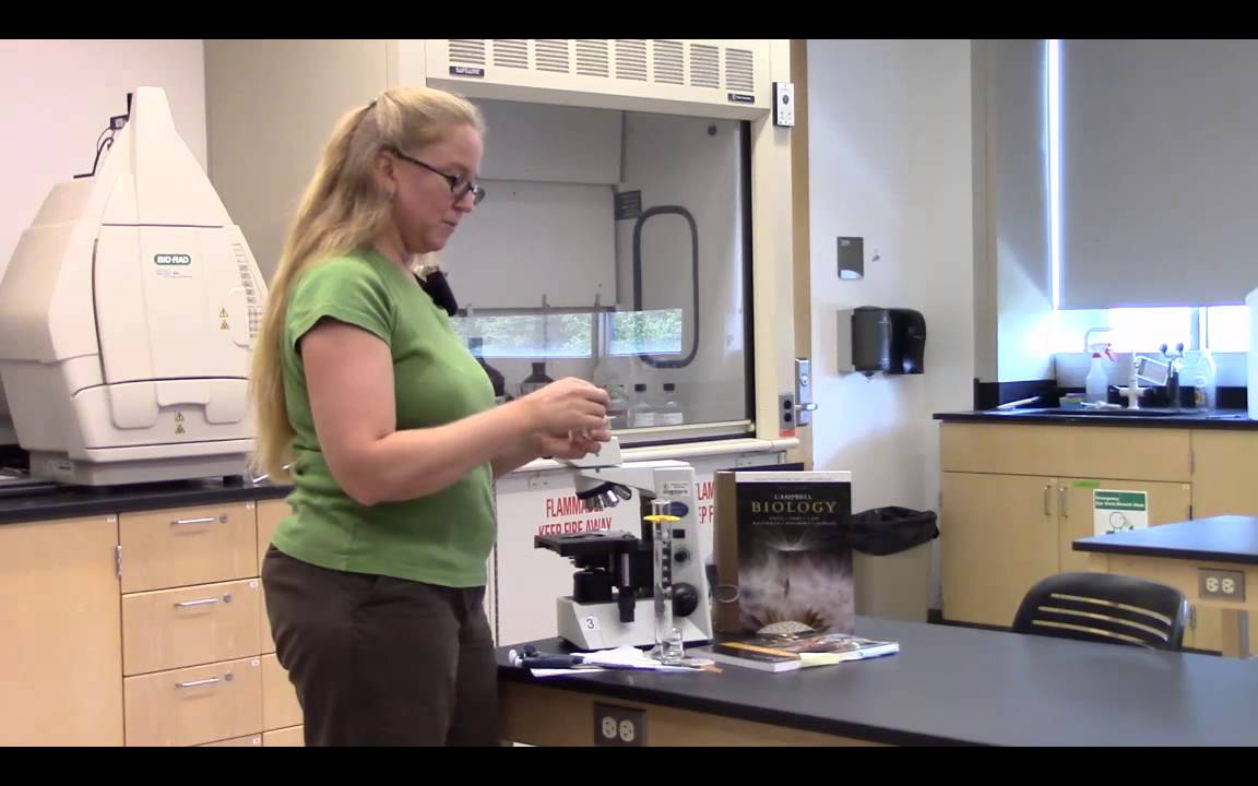 Lab: Using the Lab Class for Success in General Biology 1 - YouTube