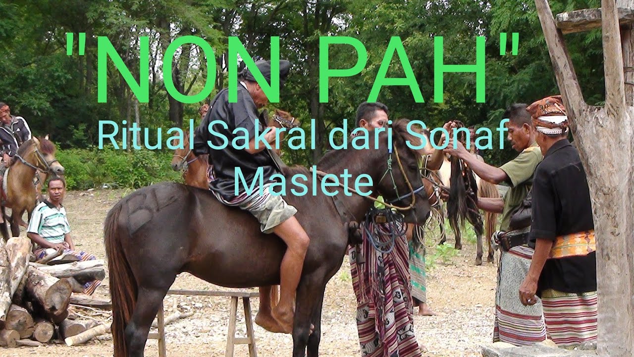 "NON PAH" (Ritual Sakral dari Sonaf Maslete TTU - NTT 2017) - YouTube