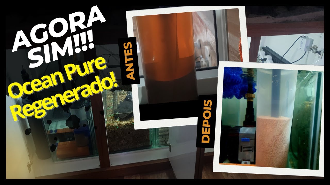 FINALMENTE!!!!! Encontrei a melhor maneira de regenerar Ocean Pure ...