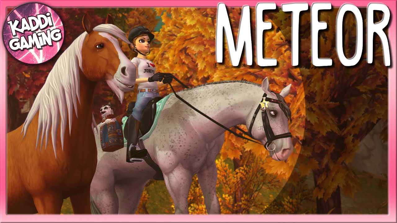 Meteor kehrt zurück! 🐴 Star Stable Online #331 [FACECAM] - YouTube