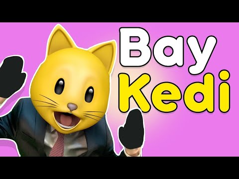 🐈  Bay Kedi Şarkısı 🐱  | 1 SAAT Kesintisiz Çocuk Şarkıları | Karpuz Adam Şarkıları