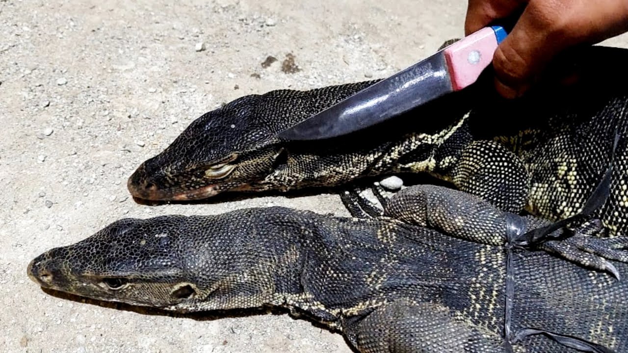 INDONESIAN EXTREME FOOD Whole Roasted Smoked Monitor Lizard Satay ...