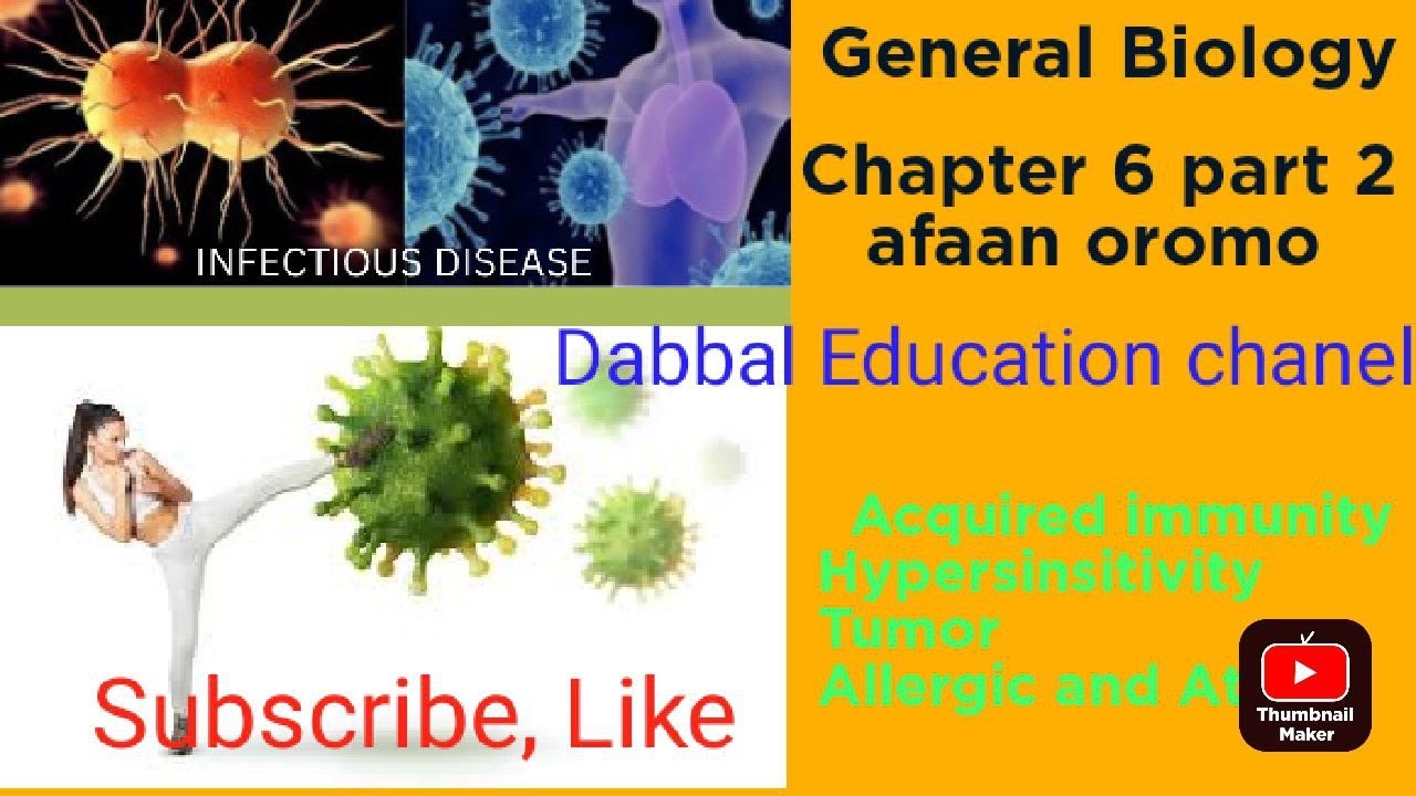 General Biology chapter 6 part 2 - YouTube