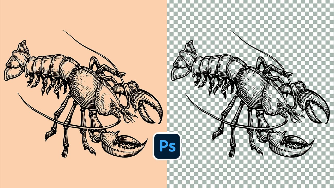 How to Easily Detached Detailed Line Drawing Background and Make it ...