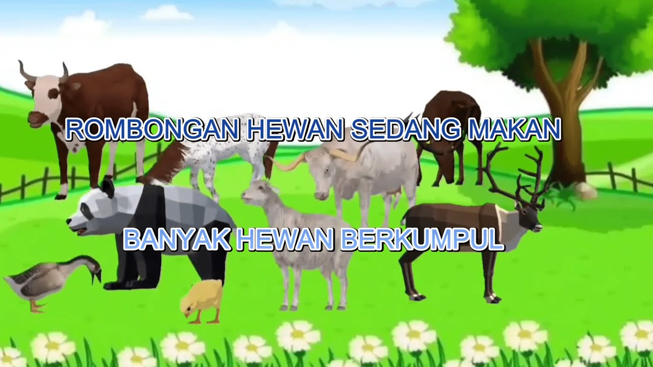 ANIMASI HEWAN | ANIMASI AYAM | ANIMASI SAPI | ANIMASI KUDA - YouTube