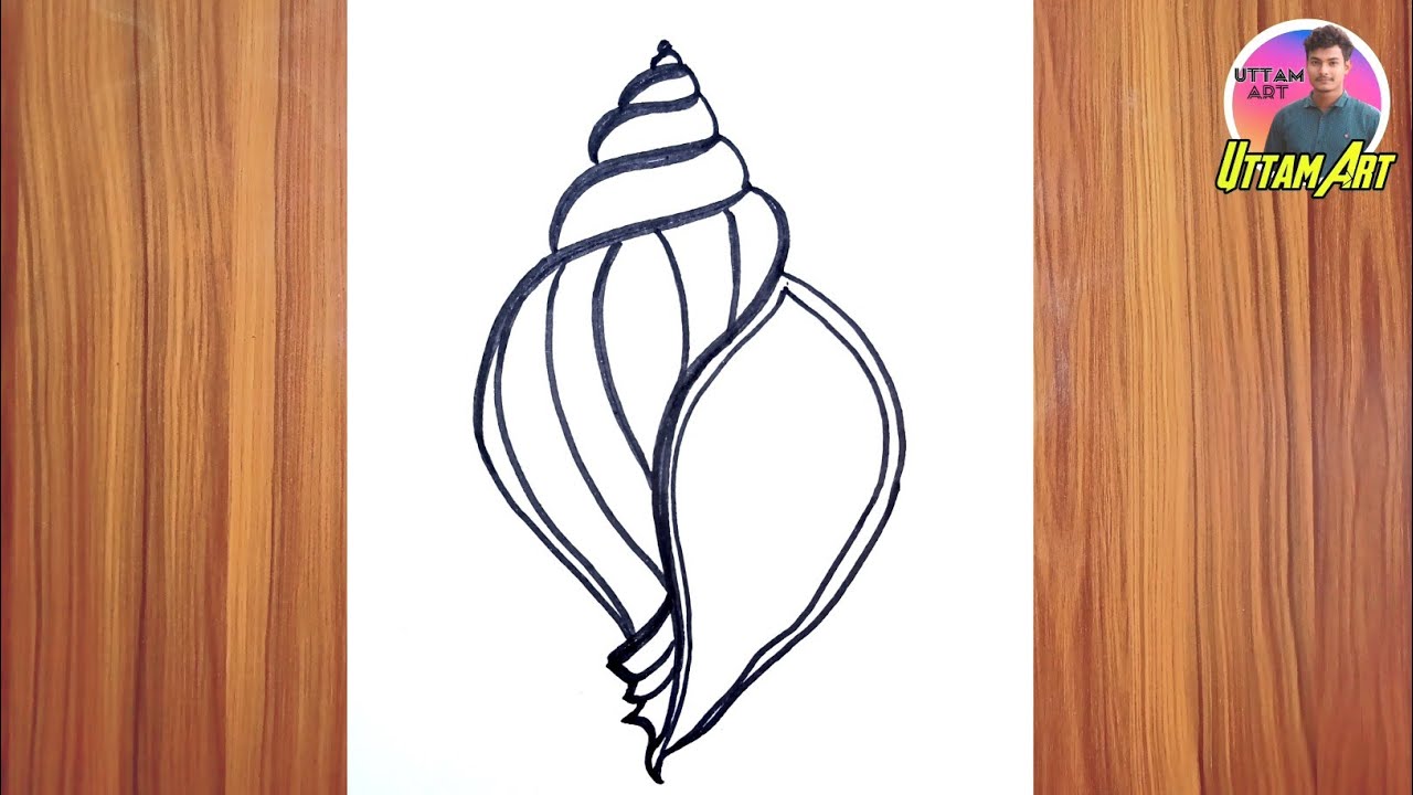 How to draw a Conch shell || Conch shell drawing easy - YouTube