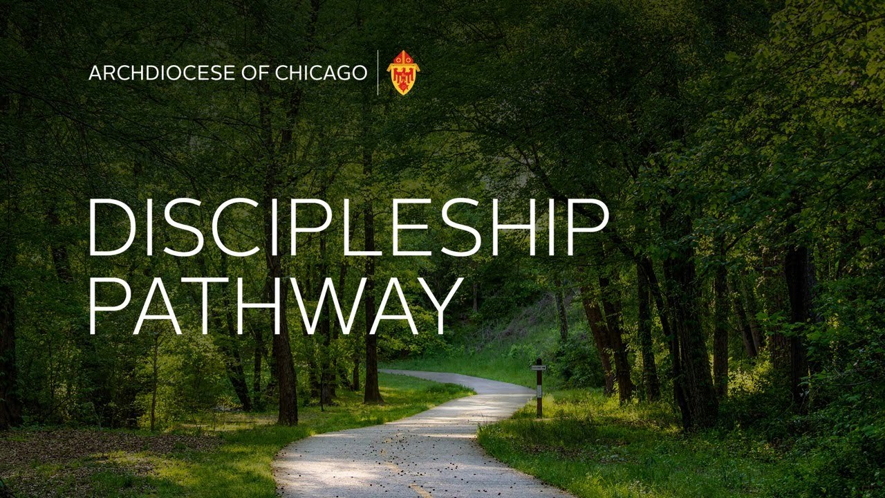 DISCIPLESHIP PATHWAY: Reflections from Fr. Derek Ho, Pastor at Mary, Seat of Wisdom Parish ...