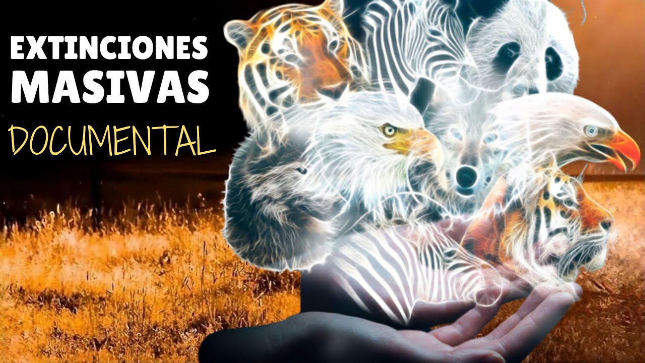 EXTINCIONES MASIVAS, extinciones masivas de la tierra documental ...