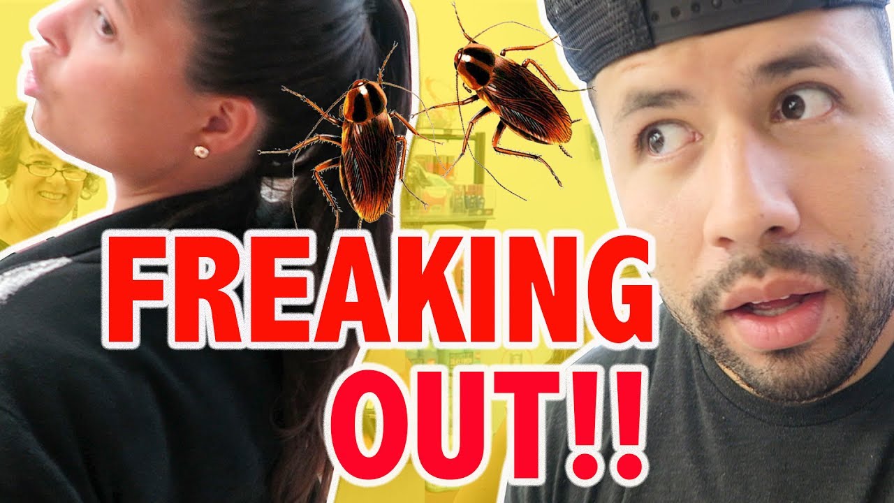 COCKROACH ON HER HEAD FREAKOUT SCARIEST THING I'V SEEN | BABY GETS A ...