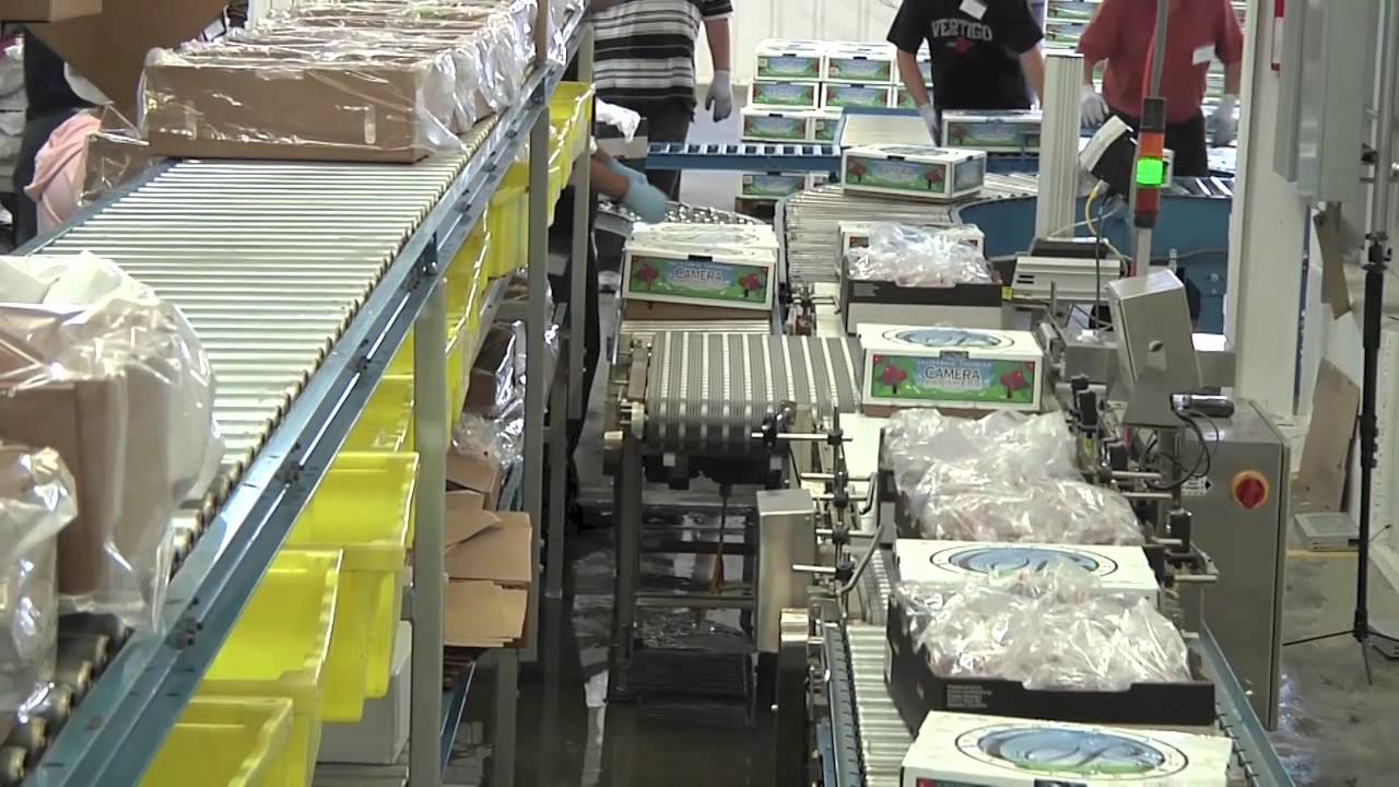 In Motion Checkweighing - YouTube