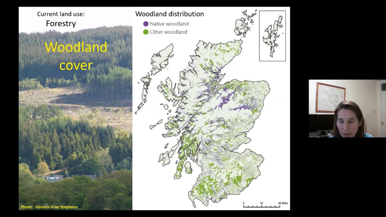 The Scottish Uplands: how to revive a degraded landscape - YouTube