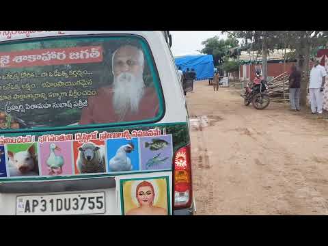 Vashista Gouthami Pyramid Peravaram Rajamundry - YouTube