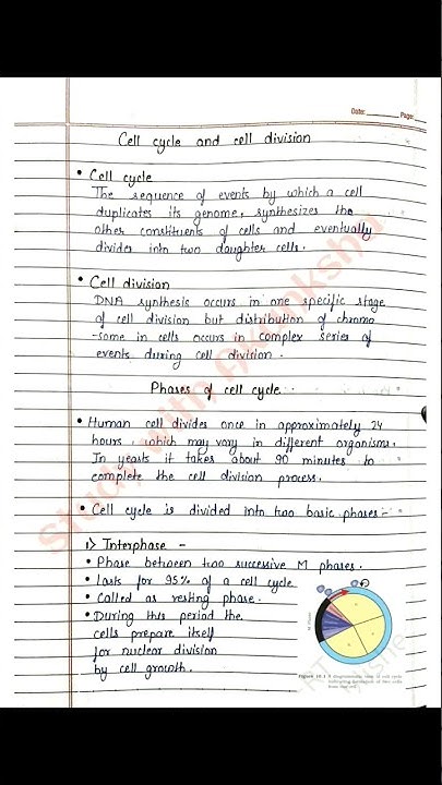 Class 11 Biology | Cell cycle and cell division handwritten notes ...