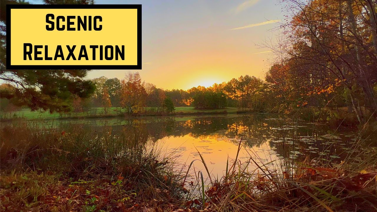 Autumn Sunrise Over Pond - Scenic Relaxation 4K - YouTube