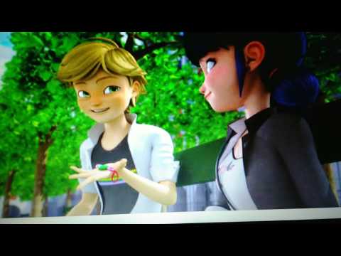 Mucize uğur böceği ile kara kedi kırgın çiçekler