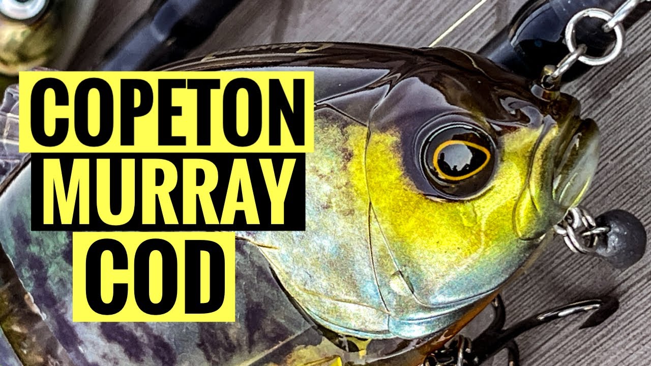 COPETON MURRAY COD - YouTube