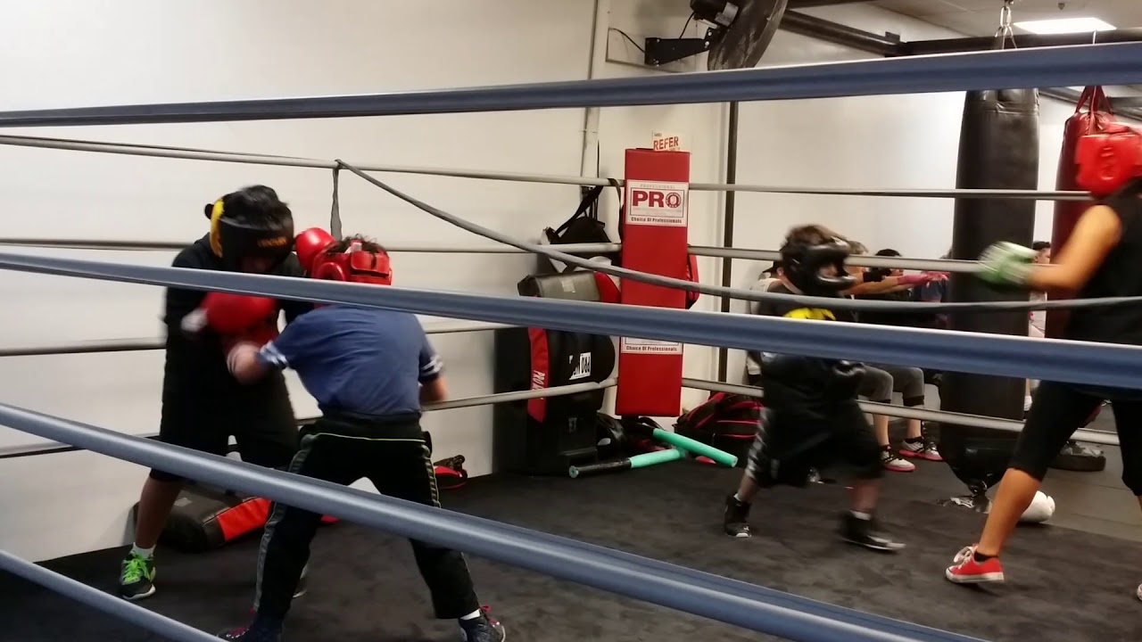Kids Boxing sparring - YouTube