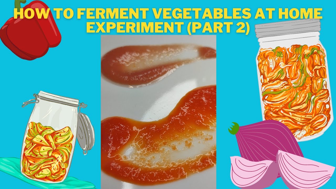 Lacto-Fermentation Experiment Part 2 - YouTube