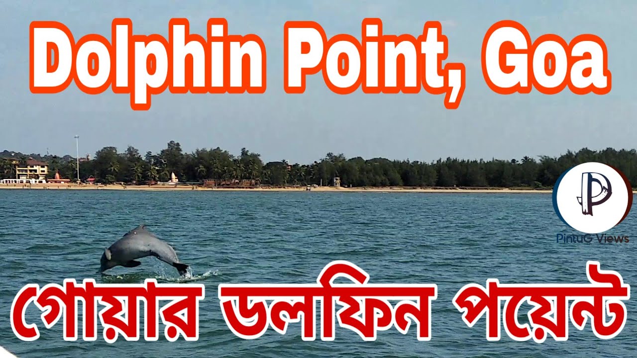Dolphin Point in Goa | Goa Dolphin Trip by Boat | Near Aguada Fort ...