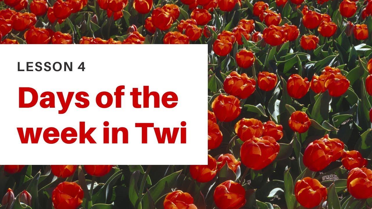 Days of Week in Twi | Lesson 4 |Twi Language | (Beginner Level 1 ...