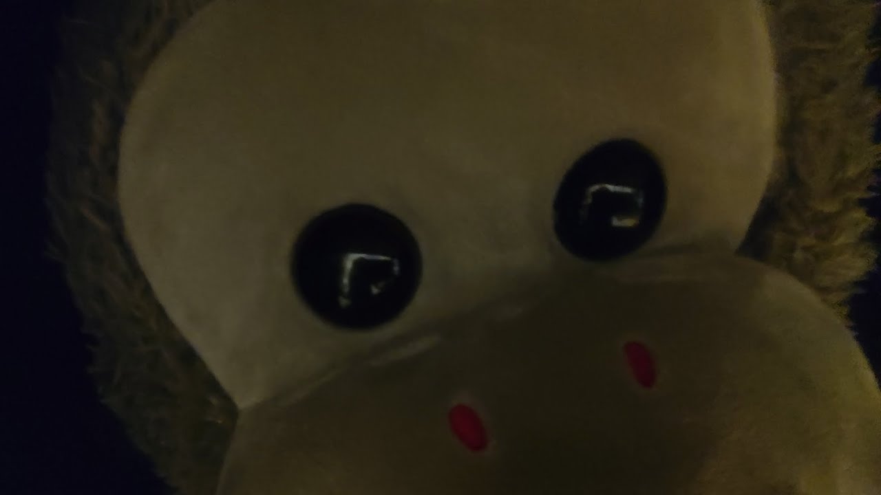 Experiment 77 Teaser Trailer - YouTube