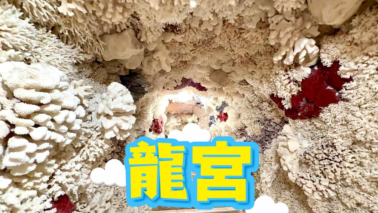📍🪸 台灣珊瑚貝殼廟（Taiwan Shell Temple）｜新北市石門區 Shimen District, New Taipei City ...