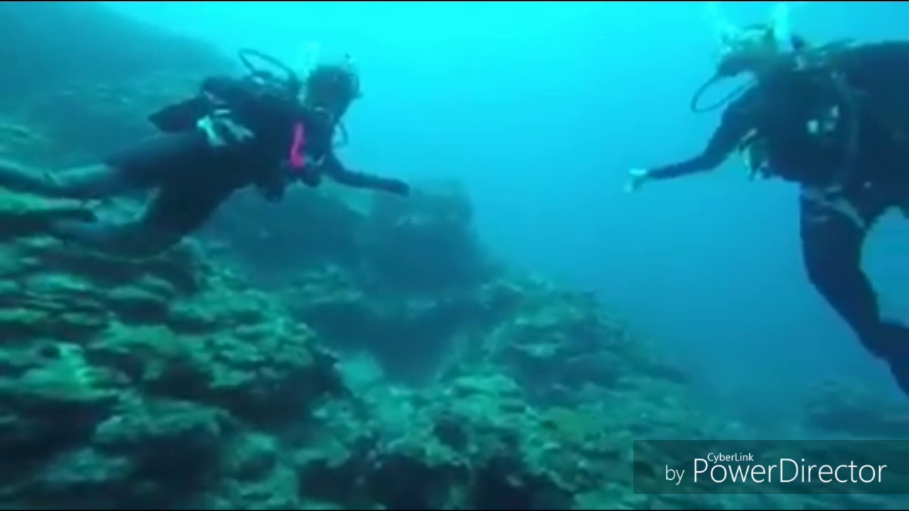 Scuba Diving - YouTube