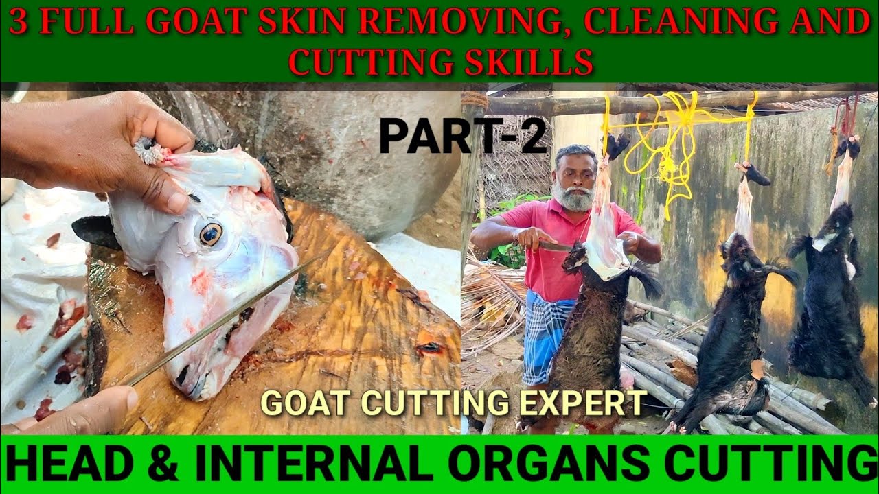 3 Goat Head Cutting by EXPERT and easy Cleaning and Internal Organs ...