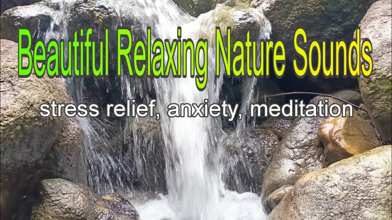 Beautiful Relaxing Nature Sounds For Stress relief, Anxiety, Meditation ...