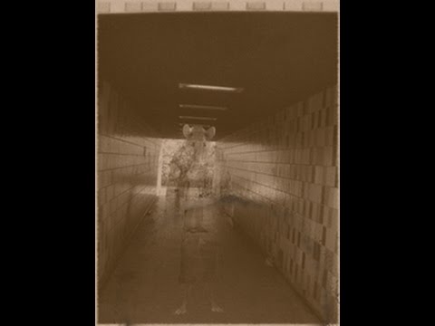 Cryptids and Monsters (CRYPTID OF THE WEEK): The Ratman of Southend, a ...